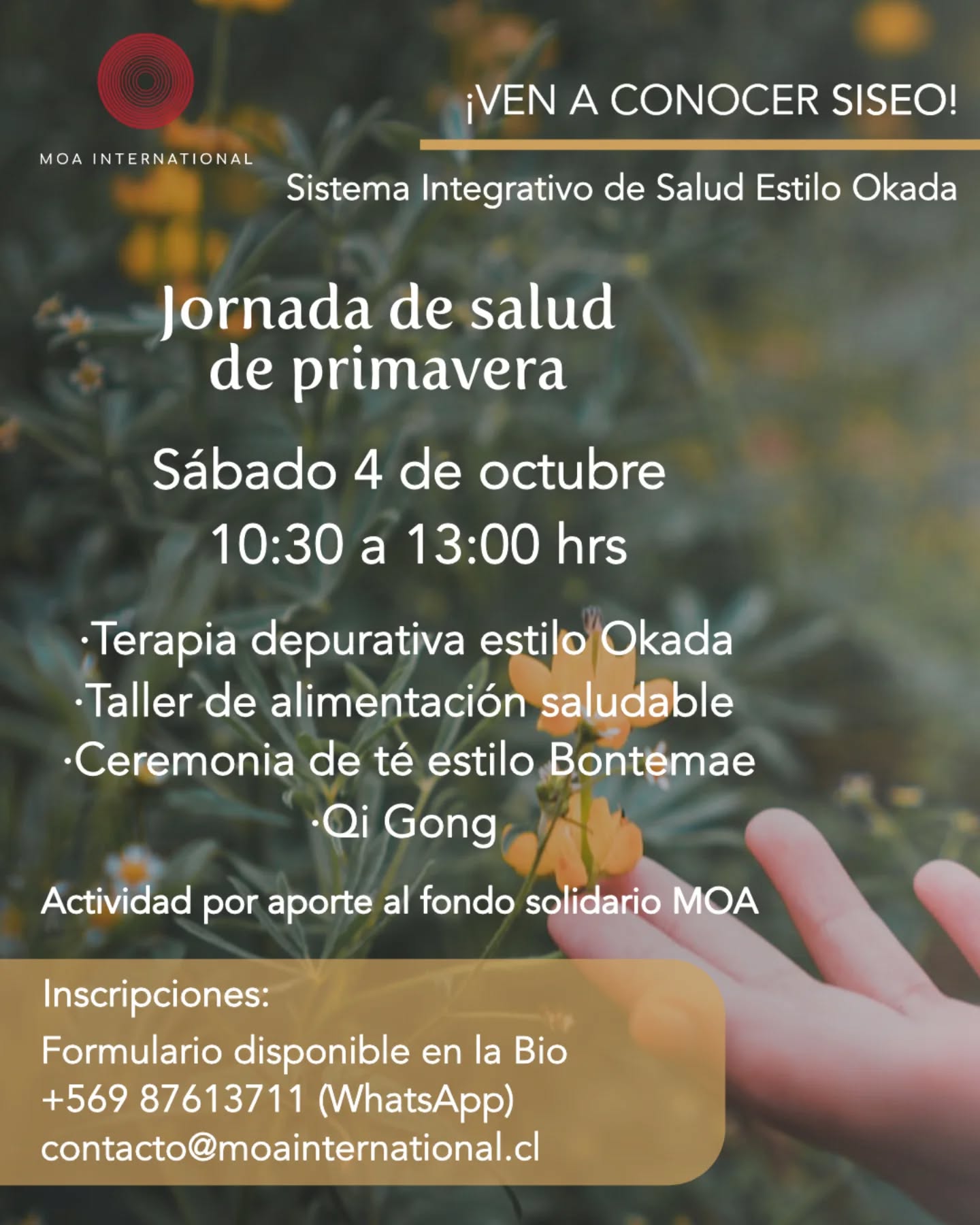 Nosotros – MOA International en Chile